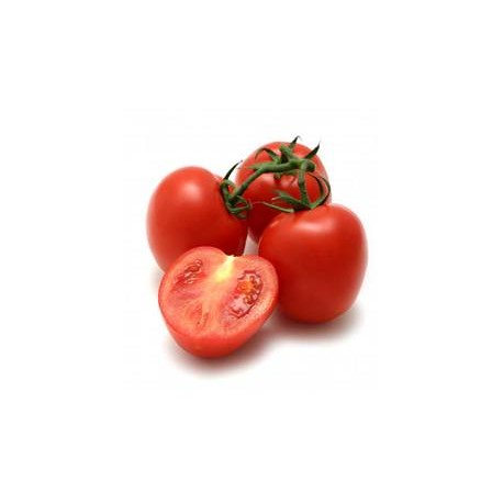 TOMATE CHONTO GRUESO (libra) - Comer Sano