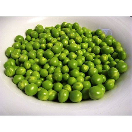 ALVERJA DESGRANADA ( libra) - Comer Sano