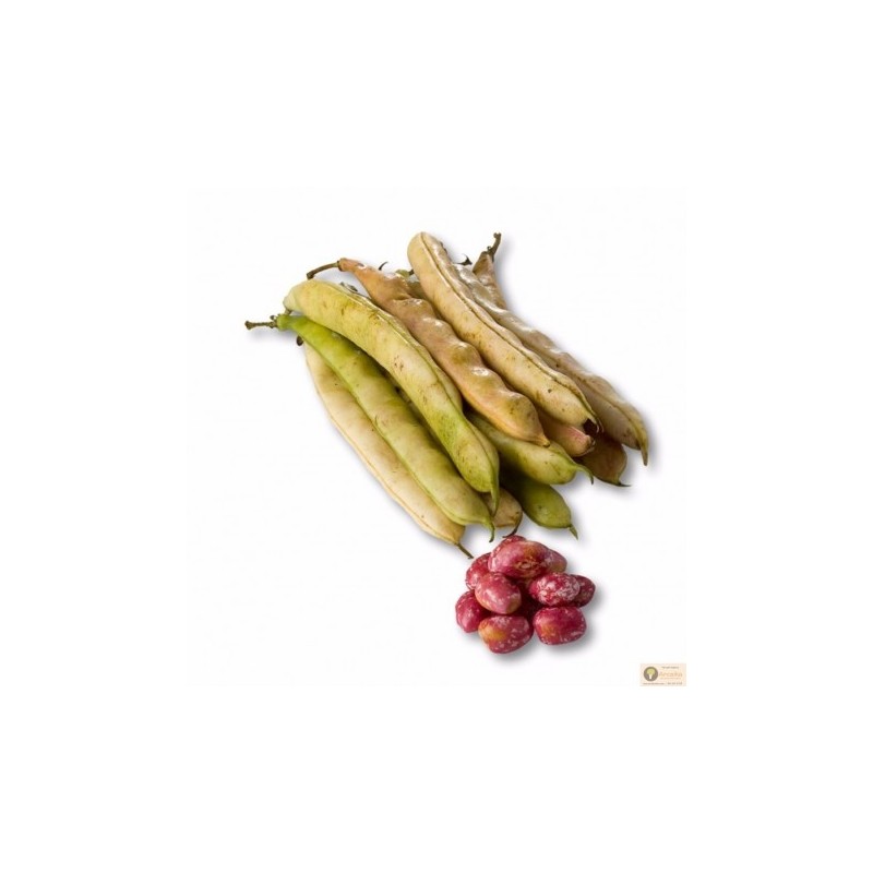 FRIJOL (libra) - Comer Sano