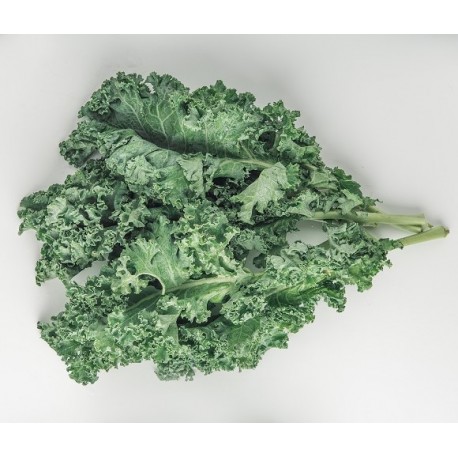 KALE (Paquete) - Comer Sano