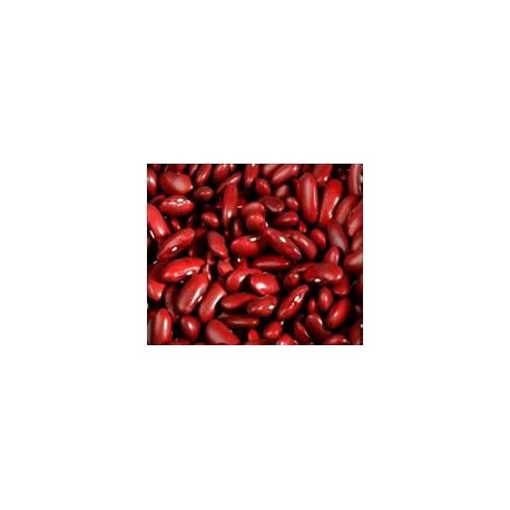FRIJOL DESGRANADO (Libra) - Comer Sano