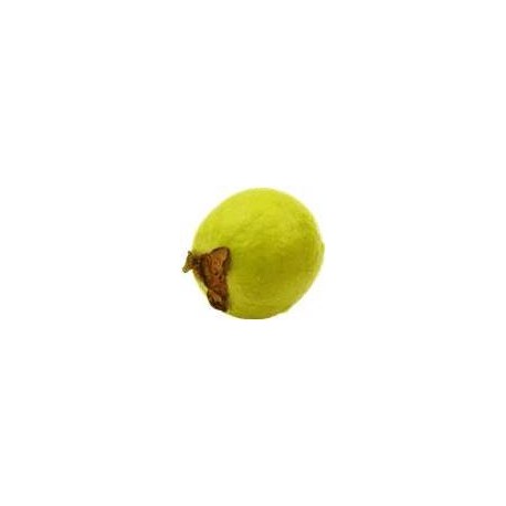 GUAYABA AGRIA (libra) - Comer Sano